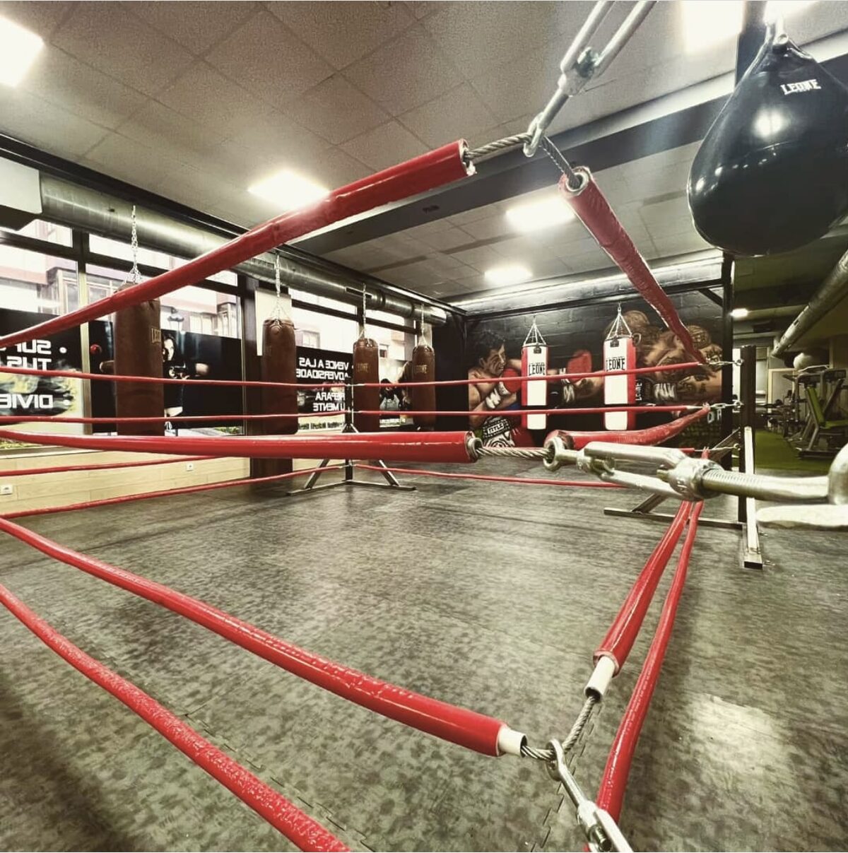 BOXFIT CRUCES - Barakaldo - Horario, Dirección y Opiniones | SoloDeBoxeo